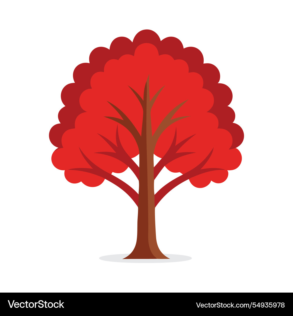 Red alder tree isolated flat on white background Vector Image