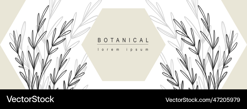 Botanical abstract background with floral line art
