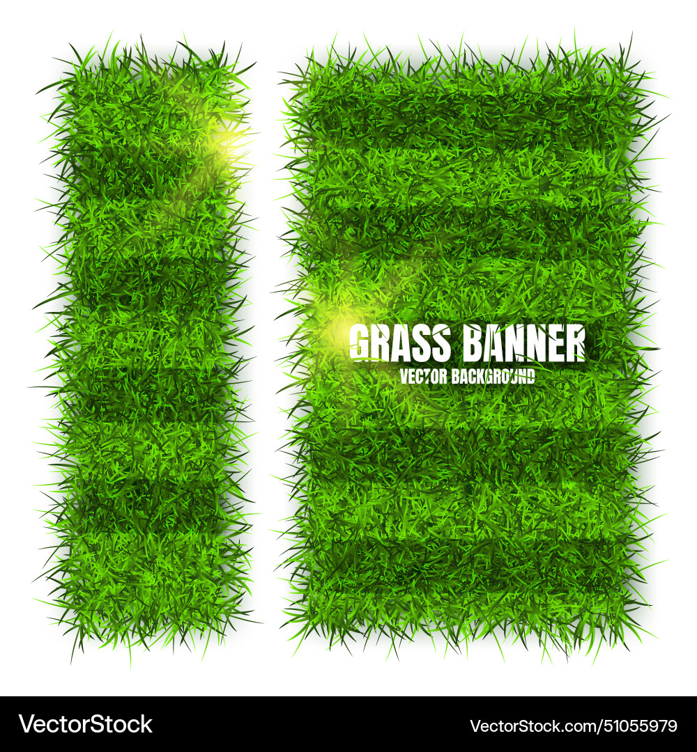 Green grass banners background field meadow Vector Image