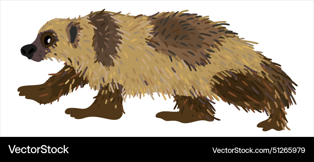 Wolverine animal isolated Royalty Free Vector Image