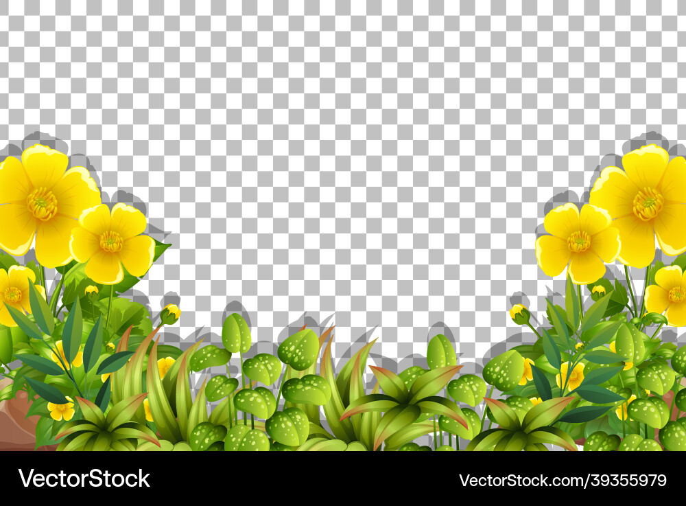 Yellow flower frame template on transparent Vector Image