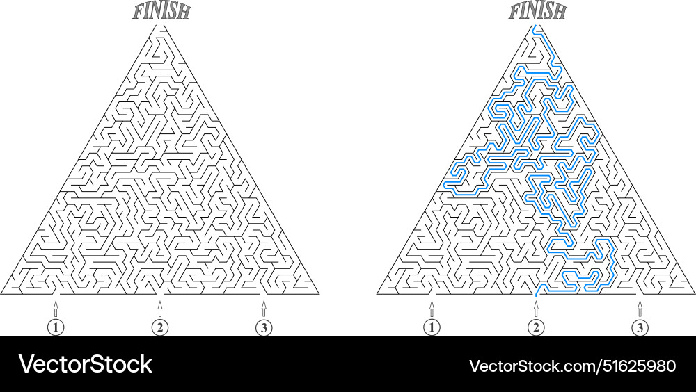 Labyrinth with three entrances find the right way Vector Image
