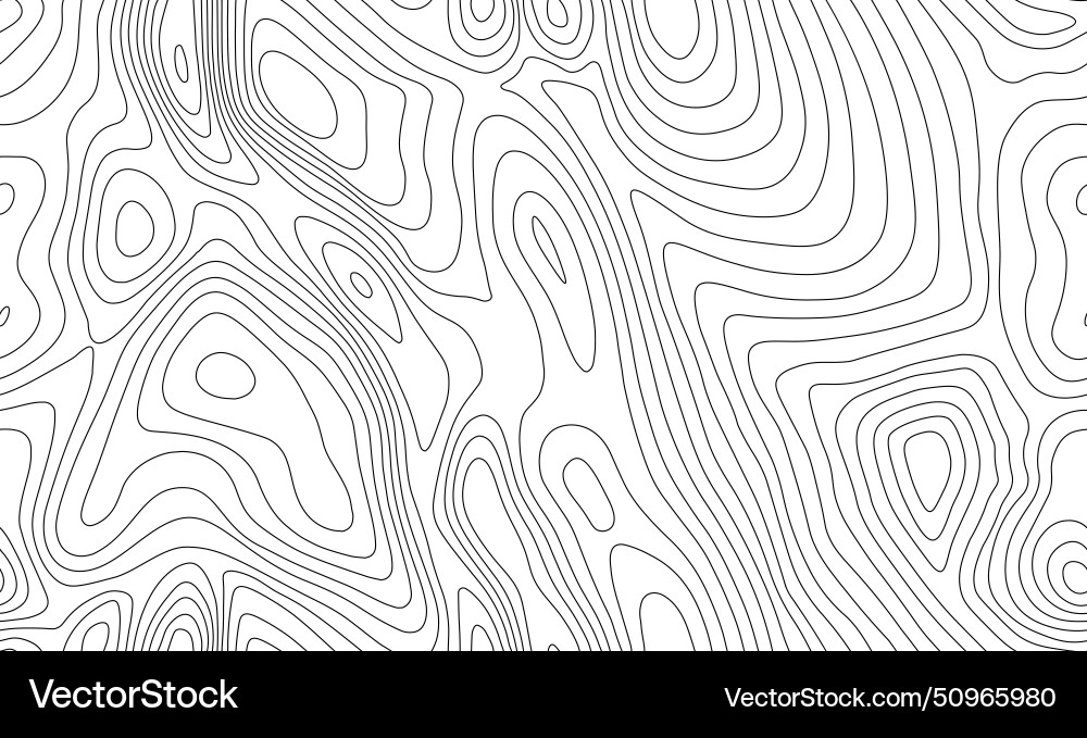 Seamless topographic map background line Vector Image