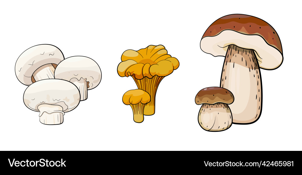Mushrooms collection Royalty Free Vector Image