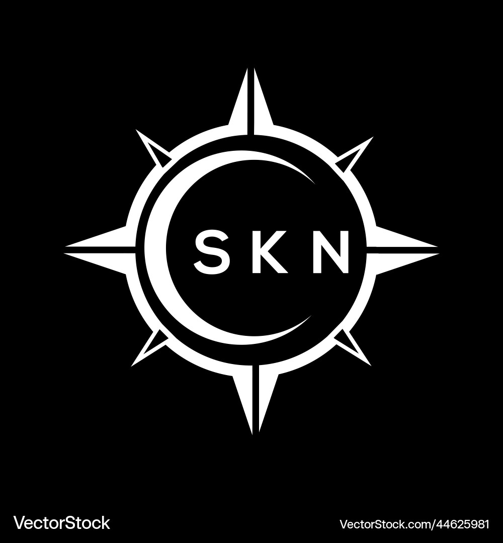 Skn abstract technology circle setting logo Vector Image