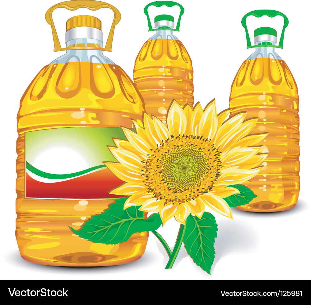 Sunflower oil Royalty Free Vector Image - VectorStock