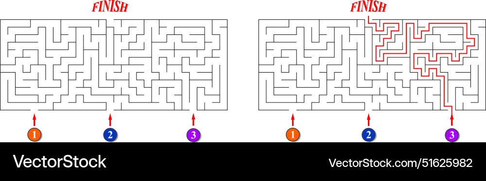 Labyrinth with three entrances find the right way Vector Image