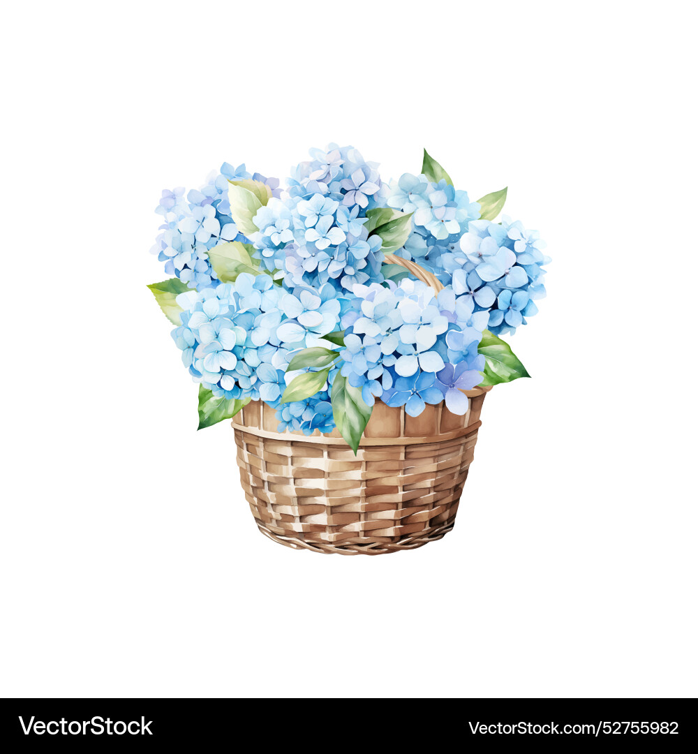 Watercolor set of blue hydrangea bouquet Vector Image