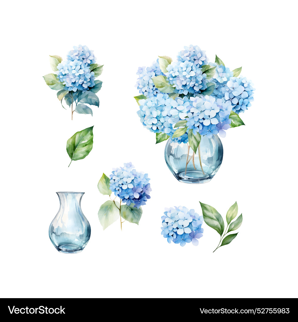 Blue Hydrangea Watercolor Set Royalty Free Vector Image