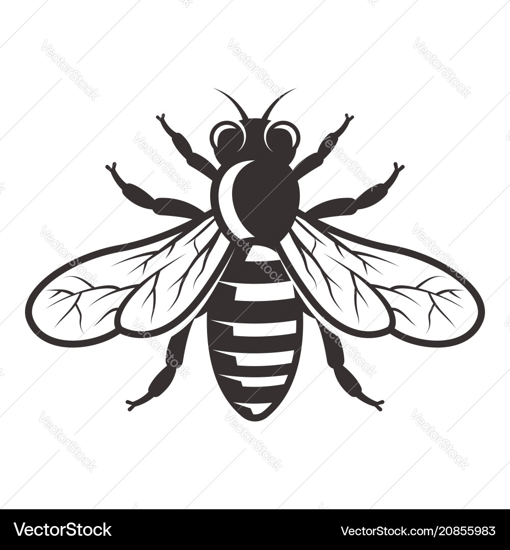 Honey bee monochrome style Royalty Free Vector Image