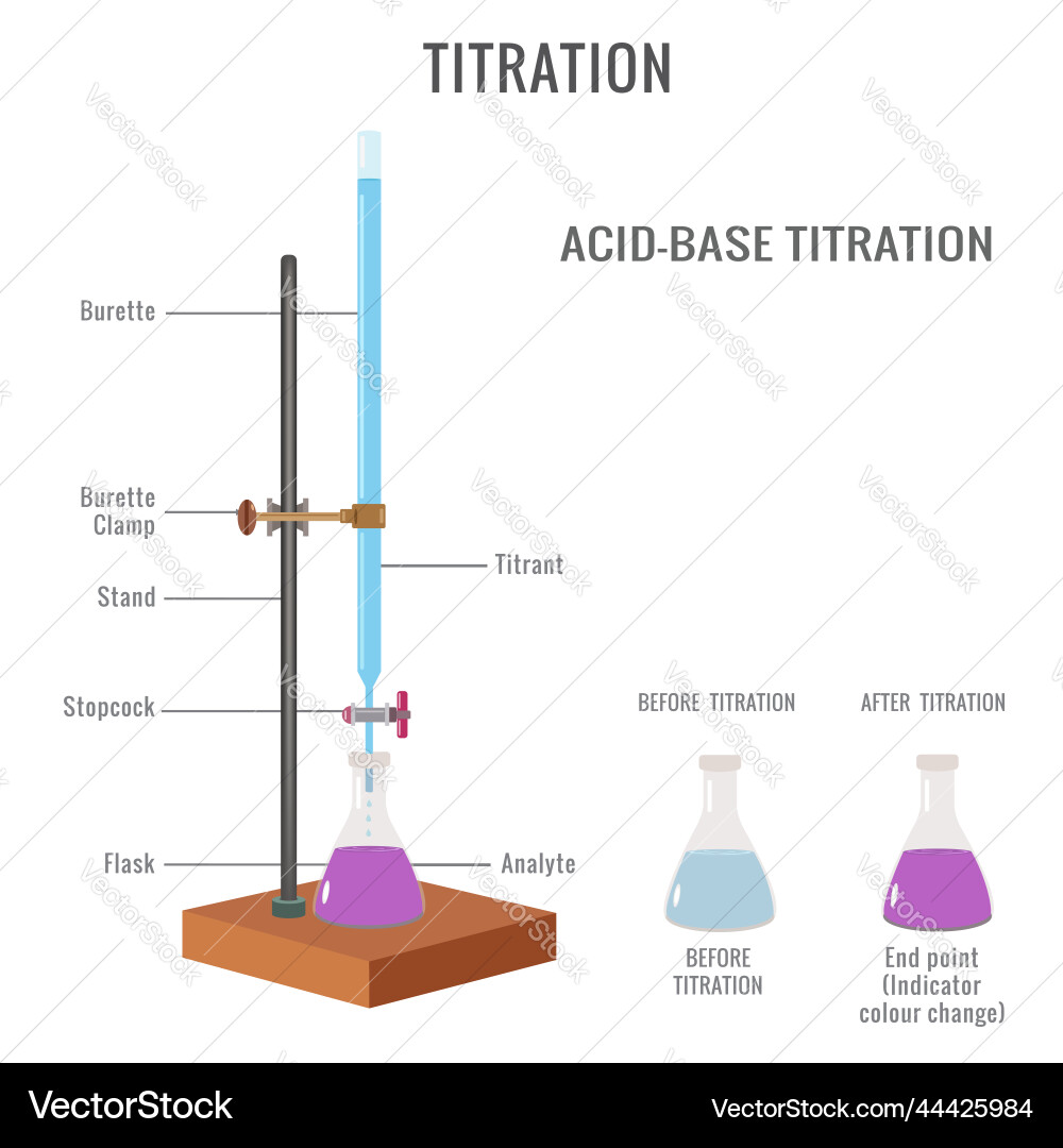 Acid base titration experiment and phases Vector Image