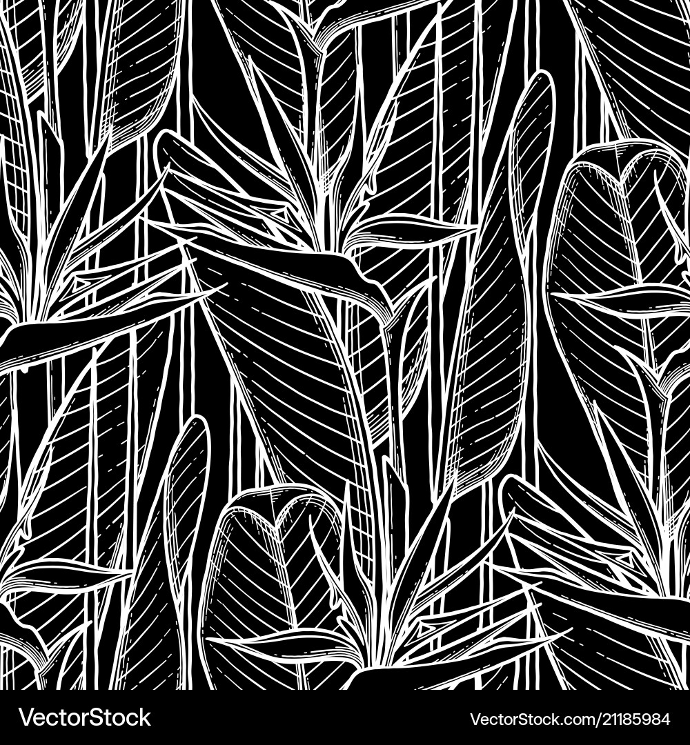 Graphic strelitzia pattern Royalty Free Vector Image