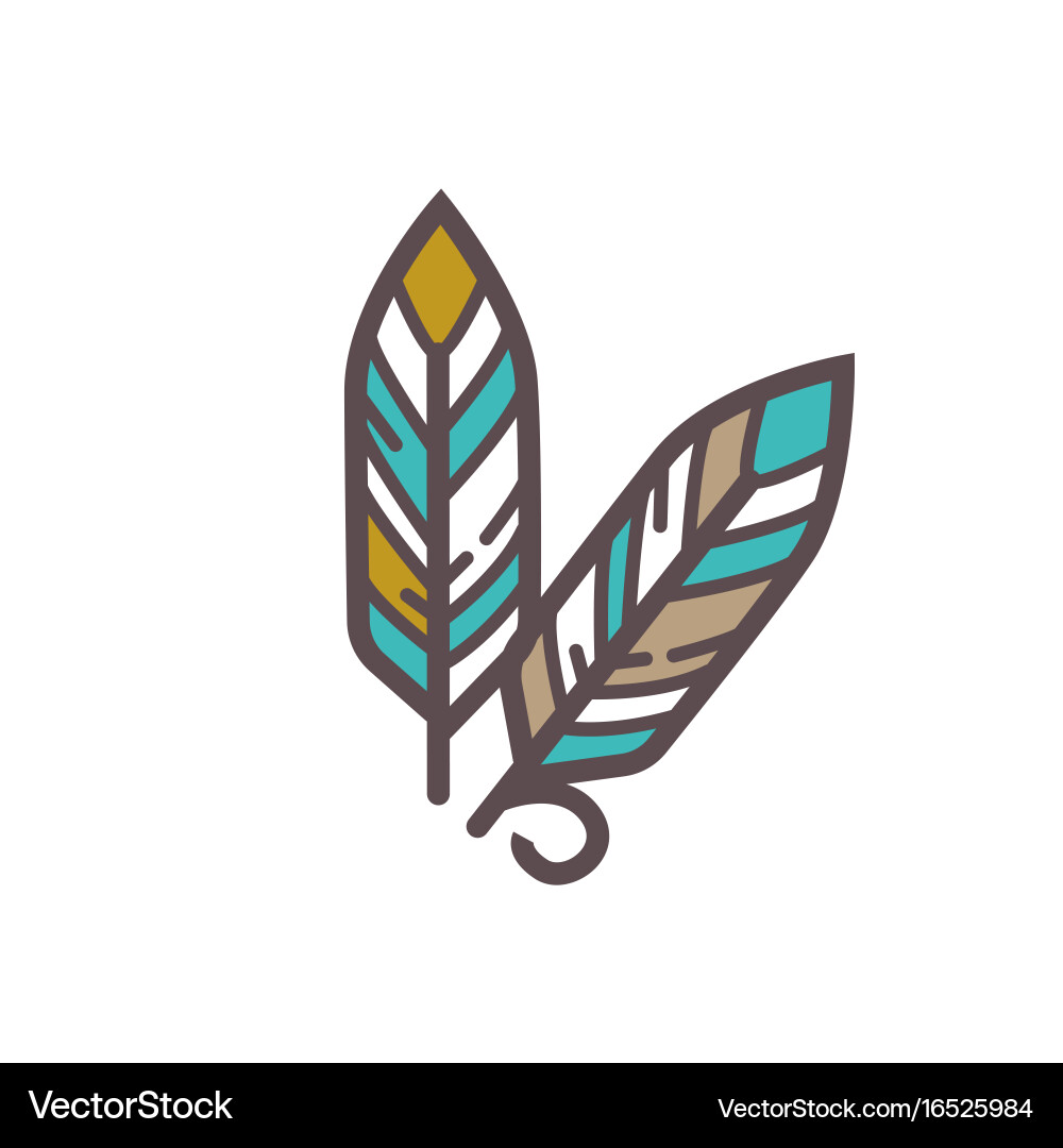 Traditional indian feathers Royalty Free Vector Image