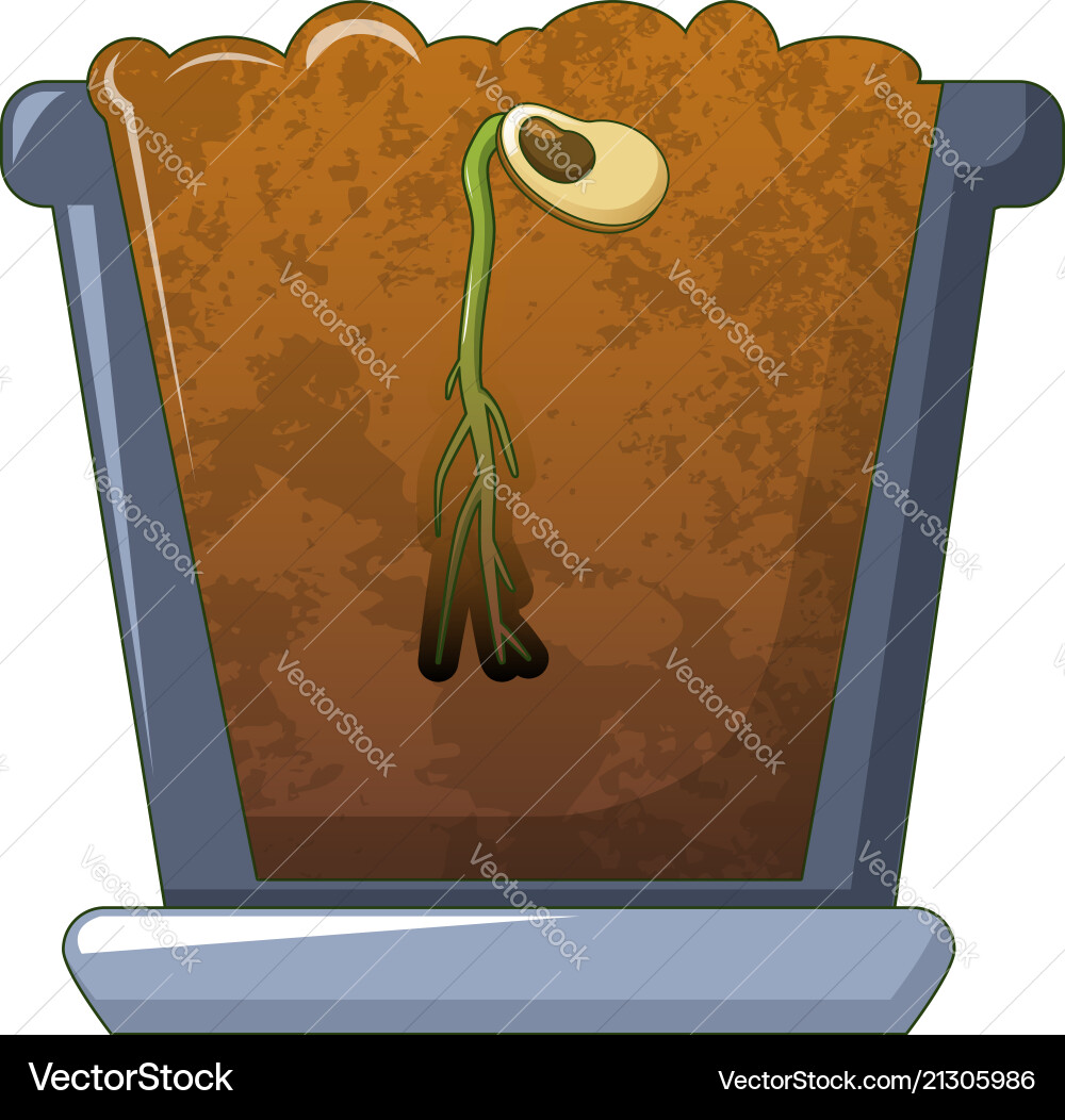 Bean Sprout in Pot Cartoon Royalty Free Vector Image