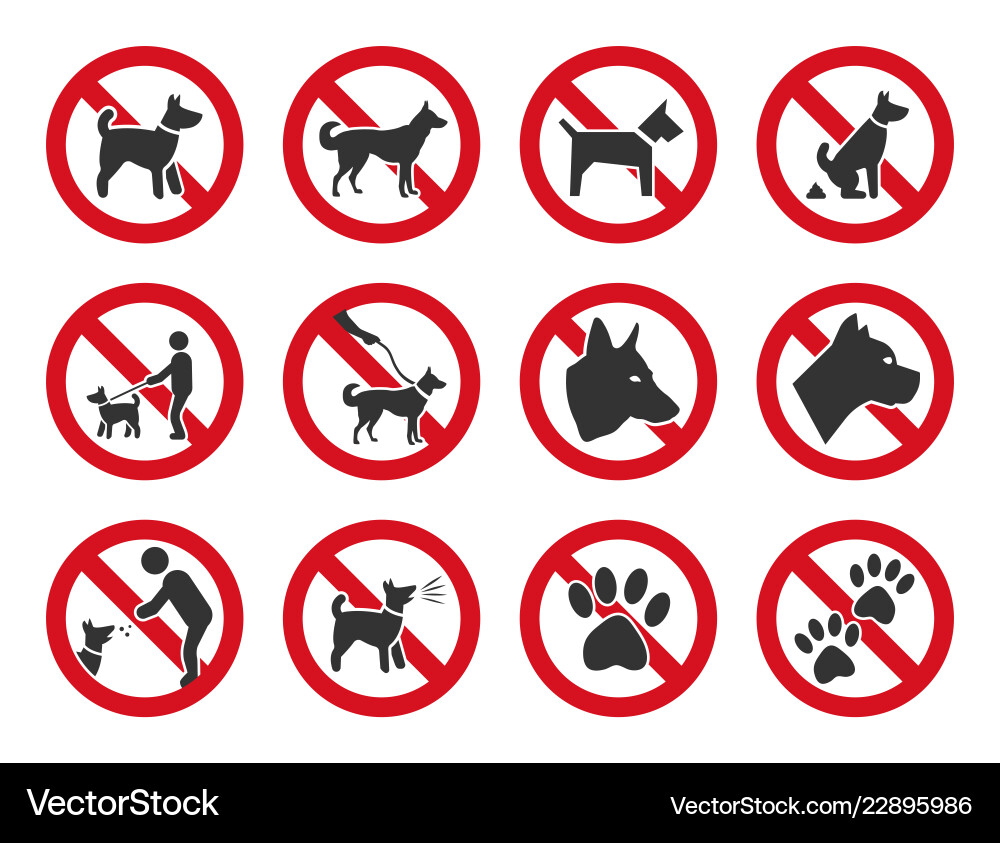 No dogs allowed dog prohibition sign set Vector Image
