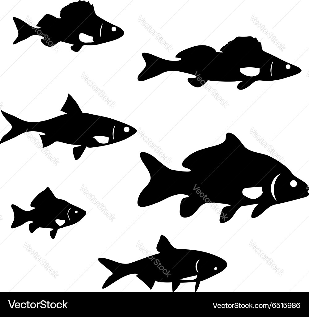 River fish Royalty Free Vector Image - VectorStock