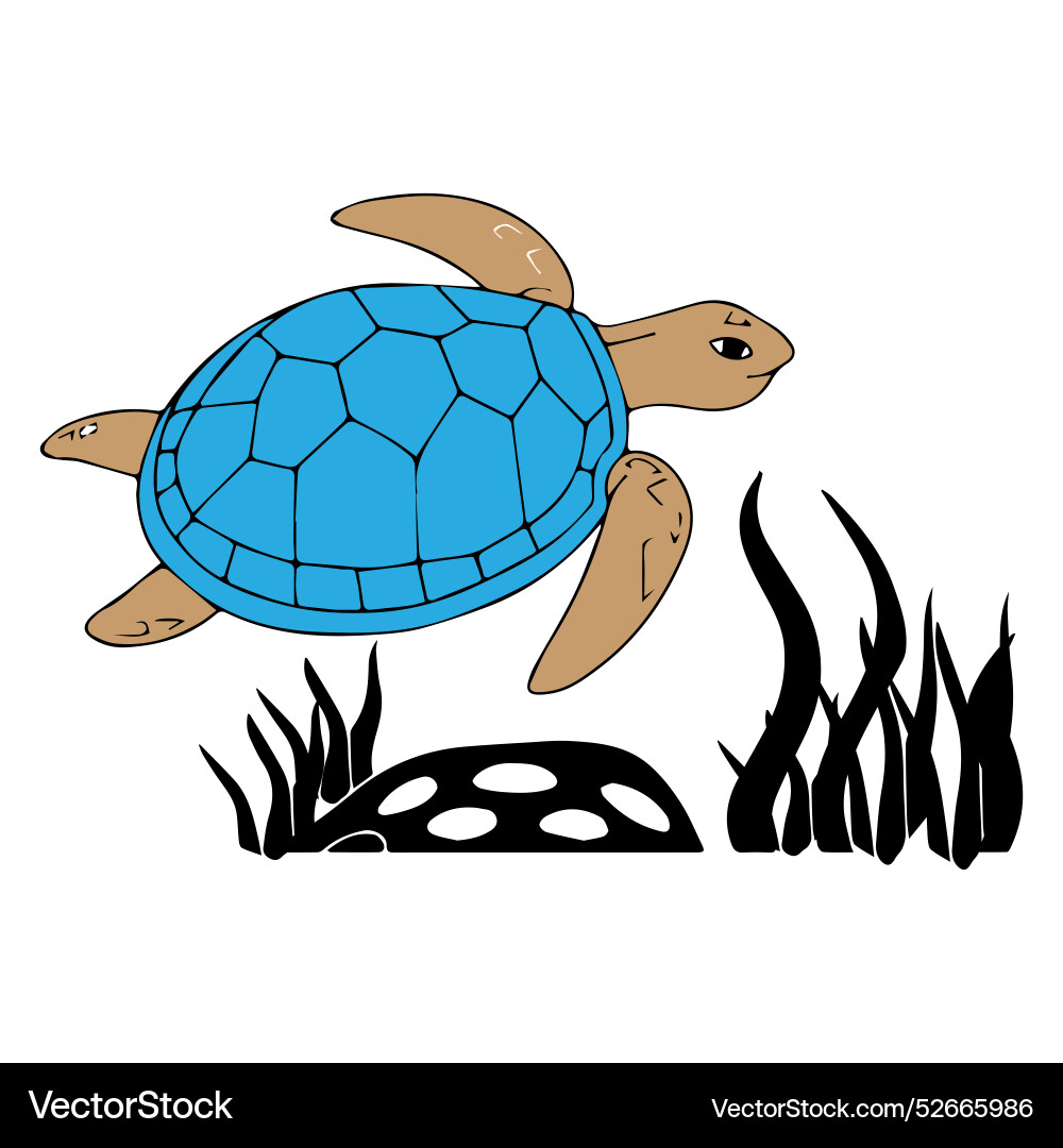 Turtle animal icon symbol design Royalty Free Vector Image