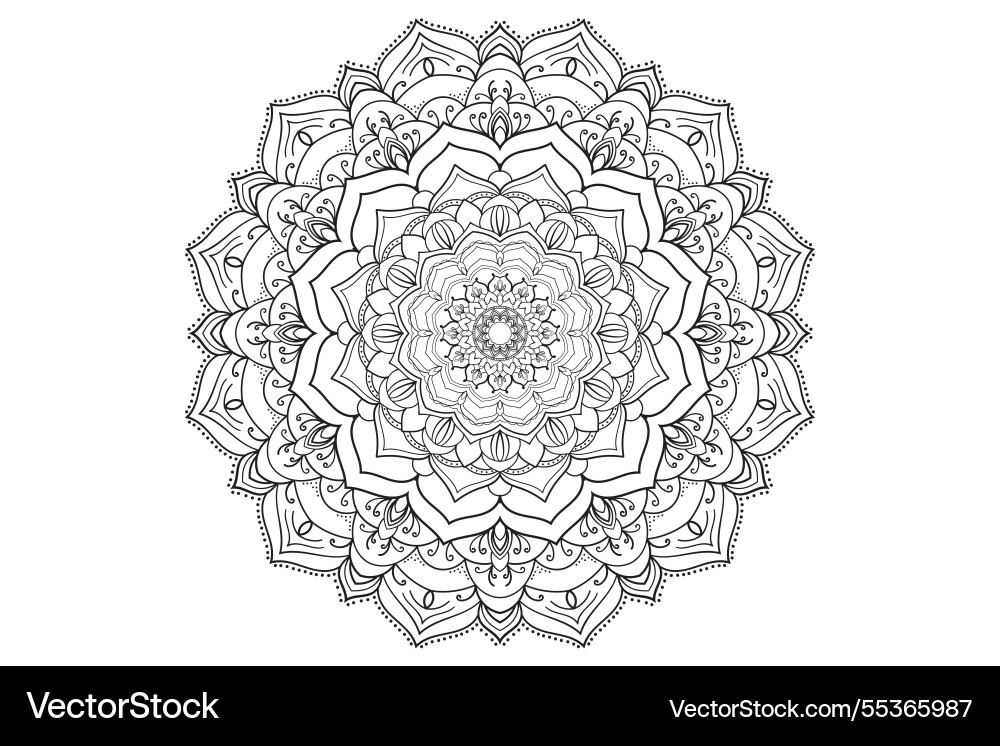 Blossoming beauty mandala designs for kdp interior