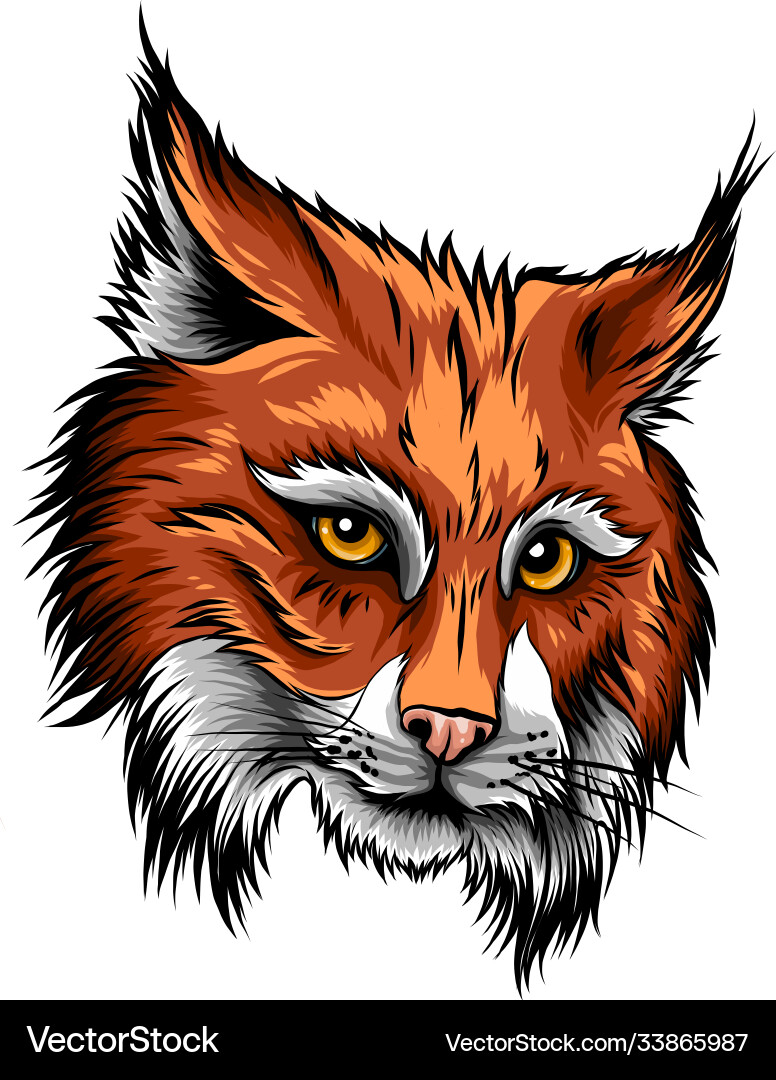 Eurasian lynx isolated Royalty Free Vector Image