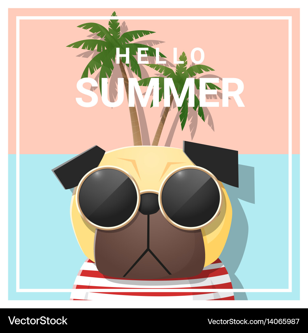 Hello summer background with dog Royalty Free Vector Image