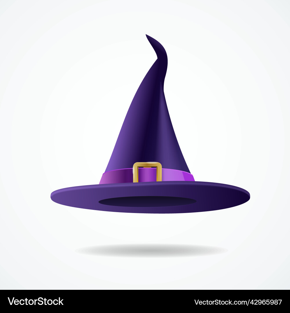 Realistic detailed 3d witch and wizards hat Vector Image