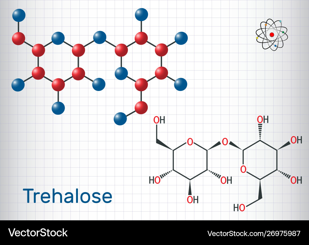 Trehalose tremalose carbohydrate molecule also Vector Image