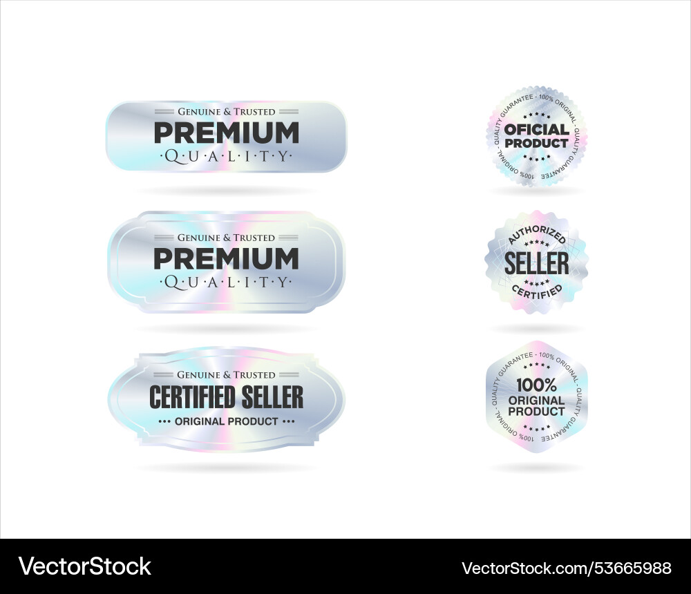 Hologram sticker or label with holographic Vector Image