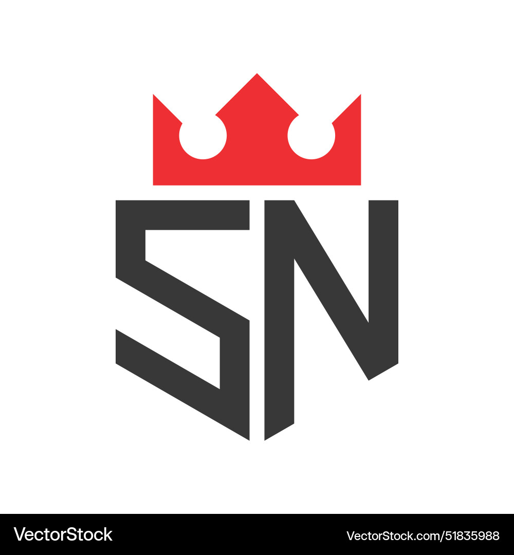 Letter sn crown logo Royalty Free Vector Image