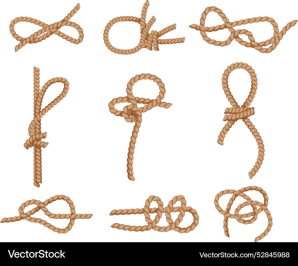 Rope knot set cartoon Royalty Free Vector Image