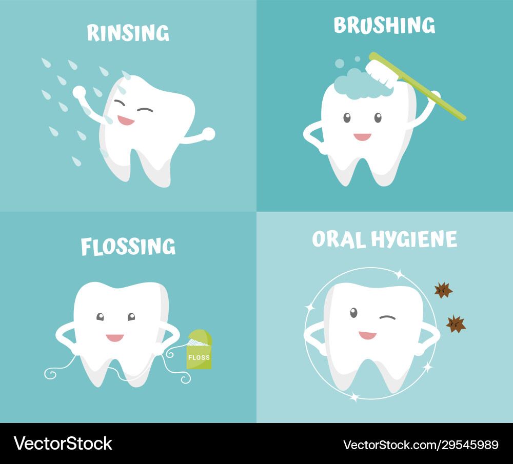 Variety tooth set Royalty Free Vector Image - VectorStock