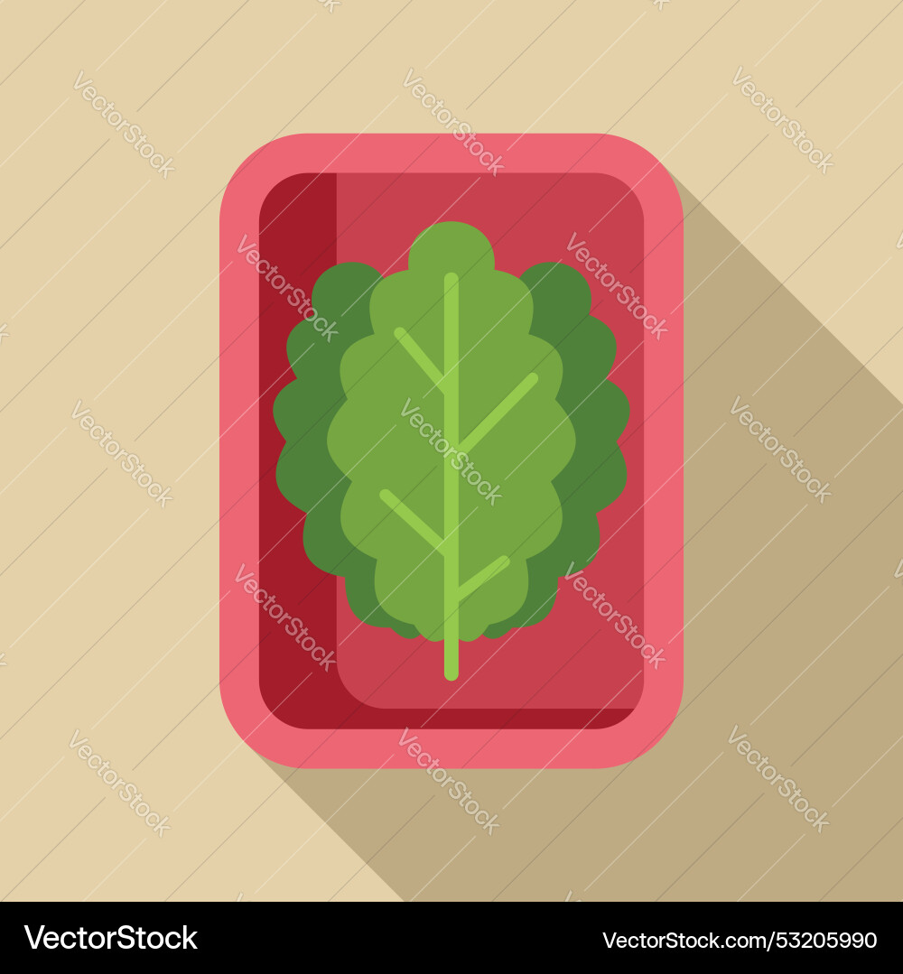 Fresh green lettuce leaf growing from garden Vector Image