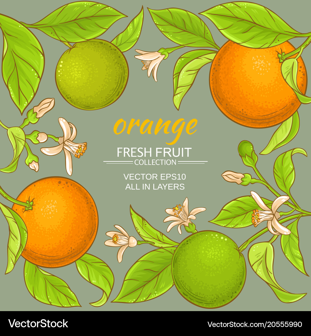 Orange frame Royalty Free Vector Image - VectorStock
