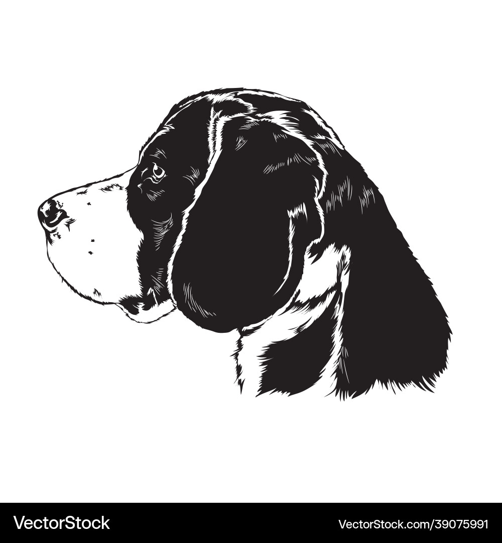 Dog head Royalty Free Vector Image - VectorStock