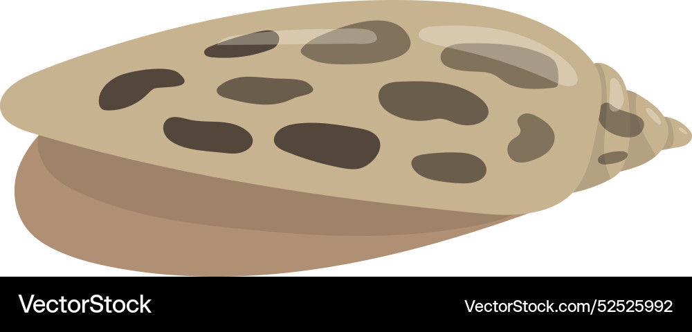 Clam shell color icon ocean coast fauna Royalty Free Vector