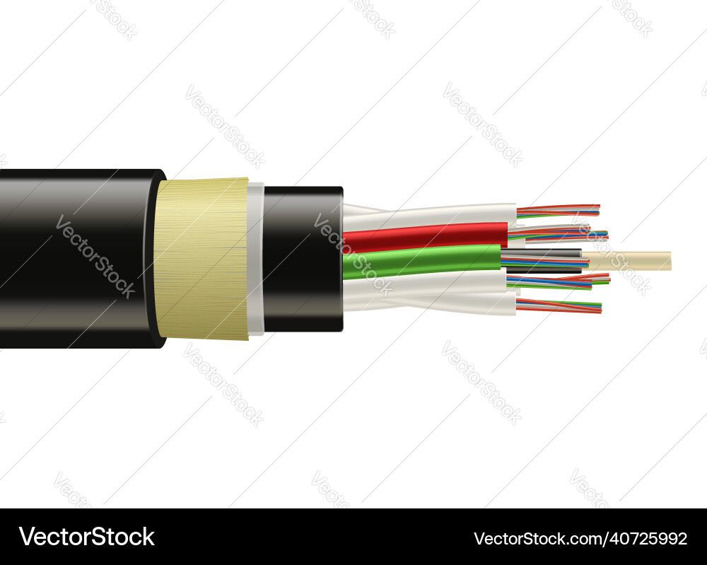 Fiber optic tight cable broadband internet Vector Image