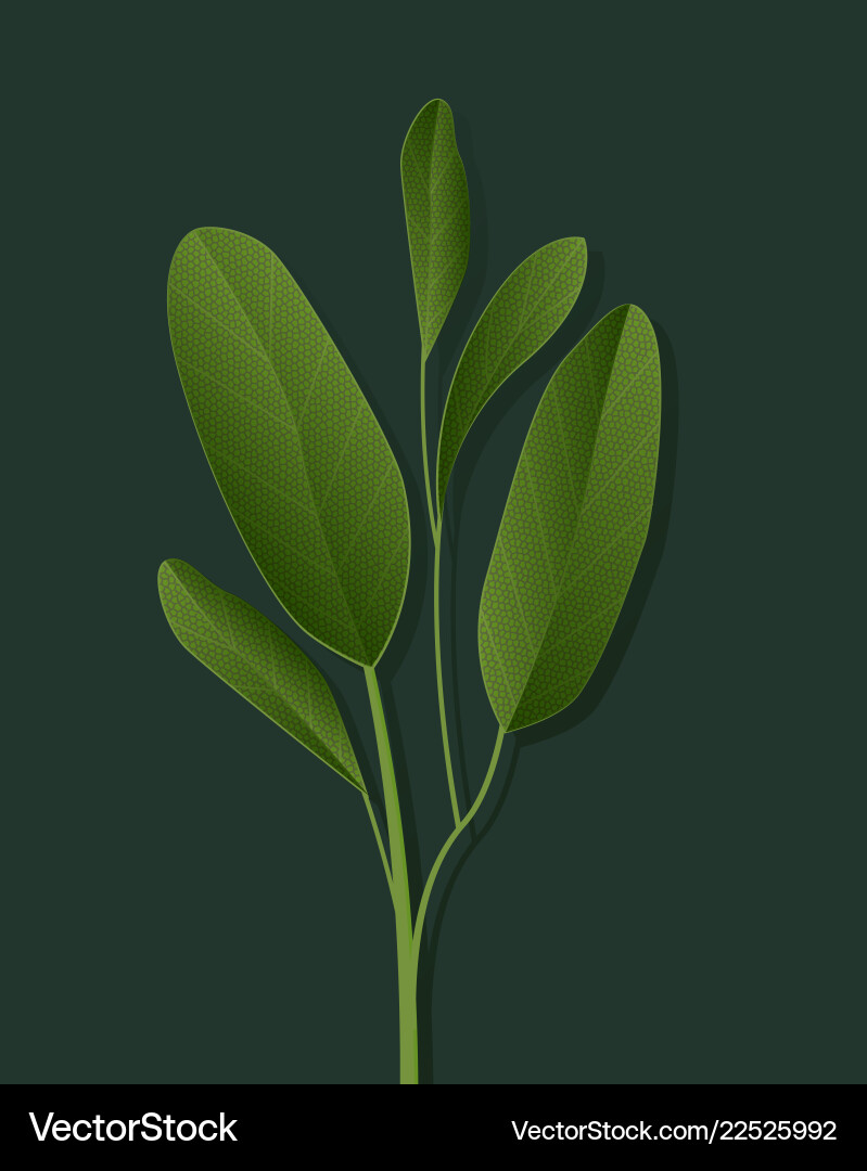 Green tropical leaves Royalty Free Vector Image