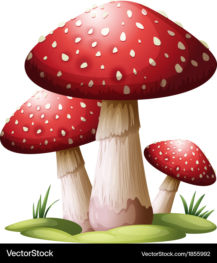 Stipe Vector Images (over 800)