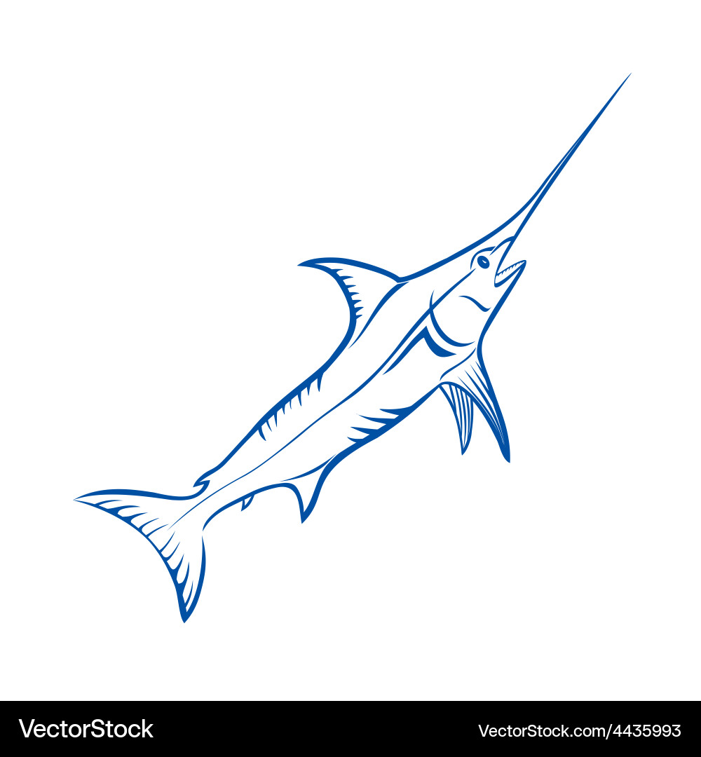 Blue marlin fish Royalty Free Vector Image - VectorStock