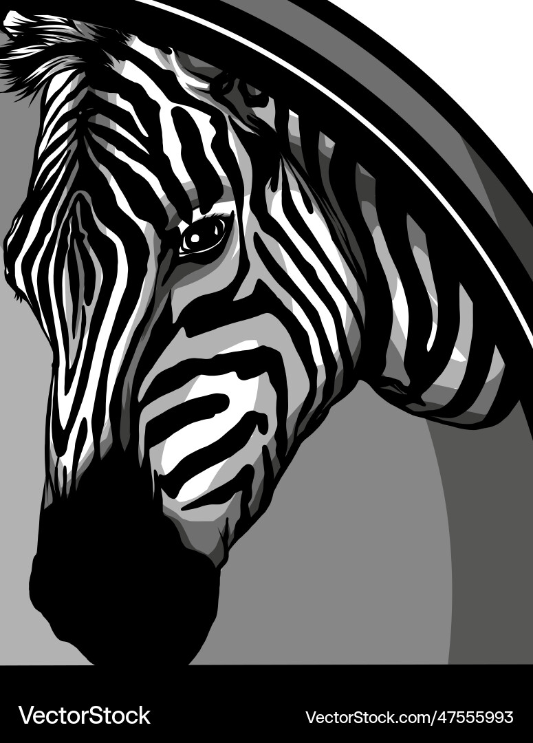 Zebra Strepen Vector
