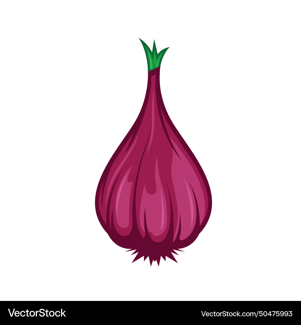 Red onion icon design template Royalty Free Vector Image