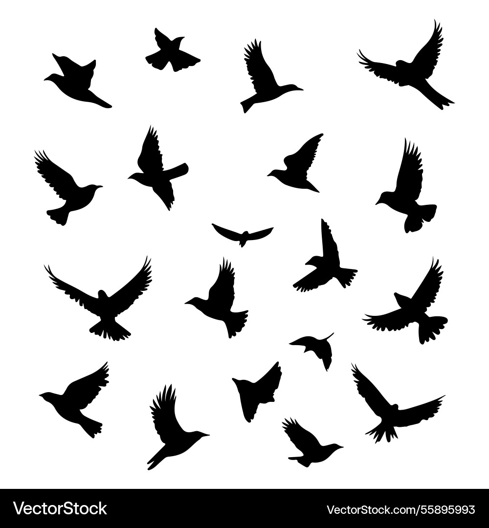 Simple birds flying Royalty Free Vector Image - VectorStock