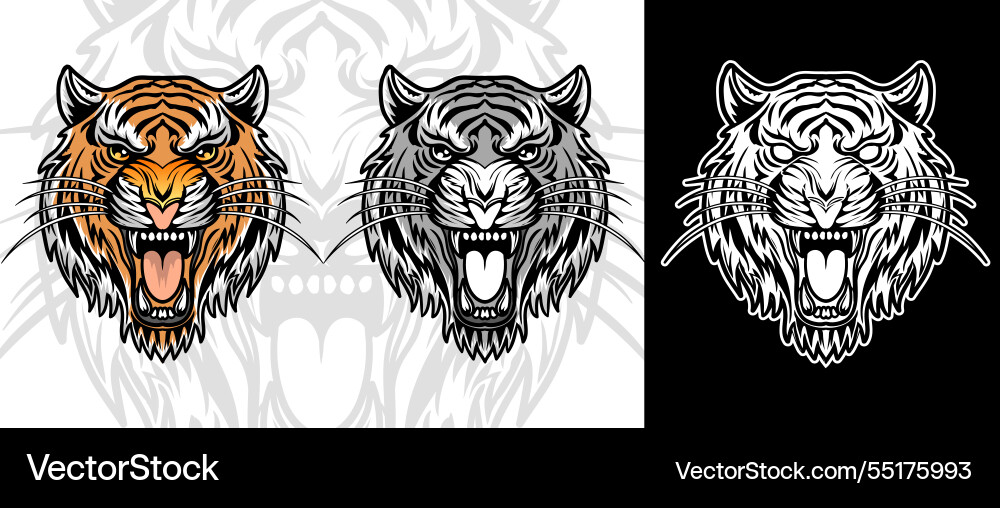 Tiger head 2 Royalty Free Vector Image - VectorStock
