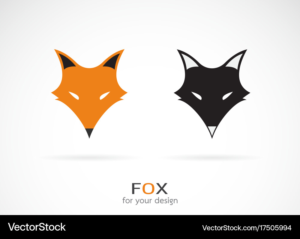 Fox face design on white background wild Vector Image
