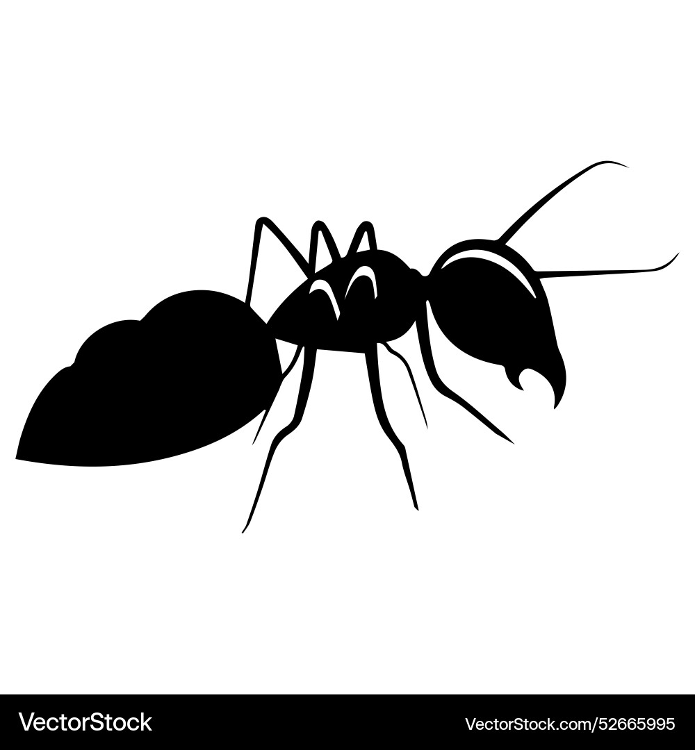 Ant animal icon symbol design Royalty Free Vector Image
