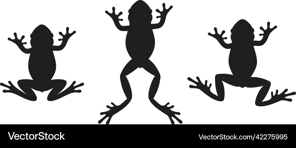 Frog Royalty Free Vector Image - VectorStock