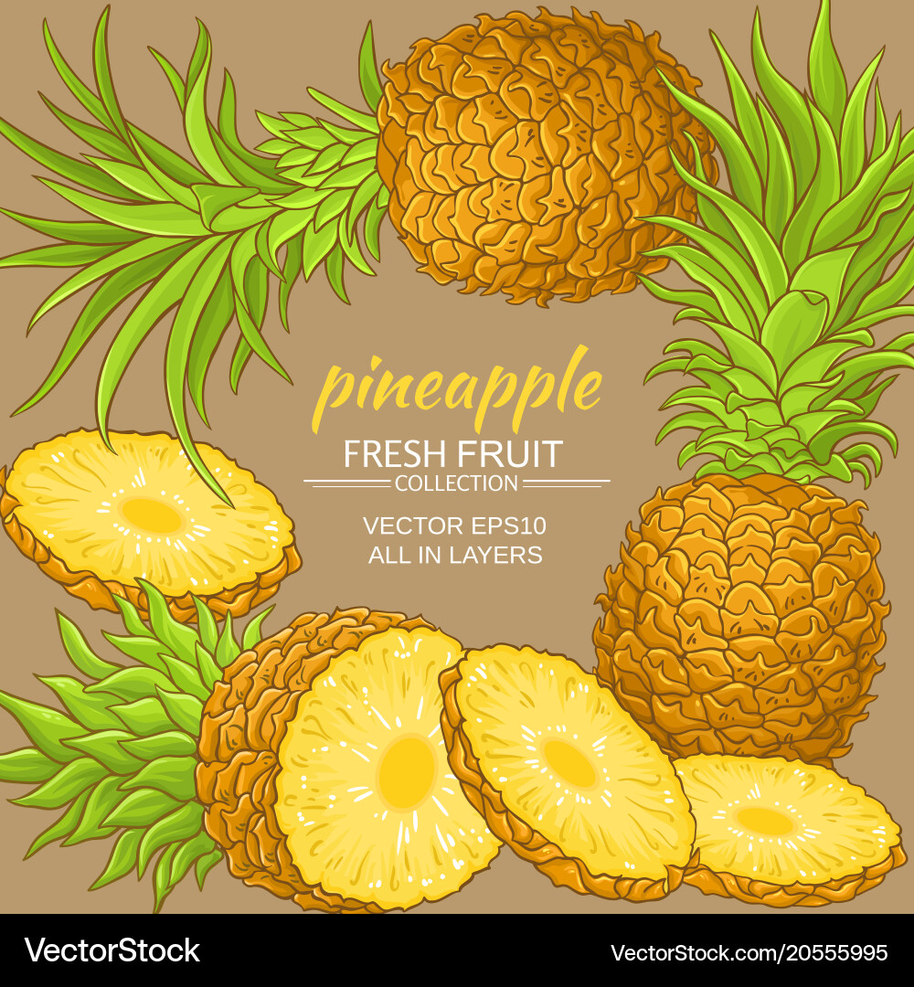Pineapple frame Royalty Free Vector Image - VectorStock