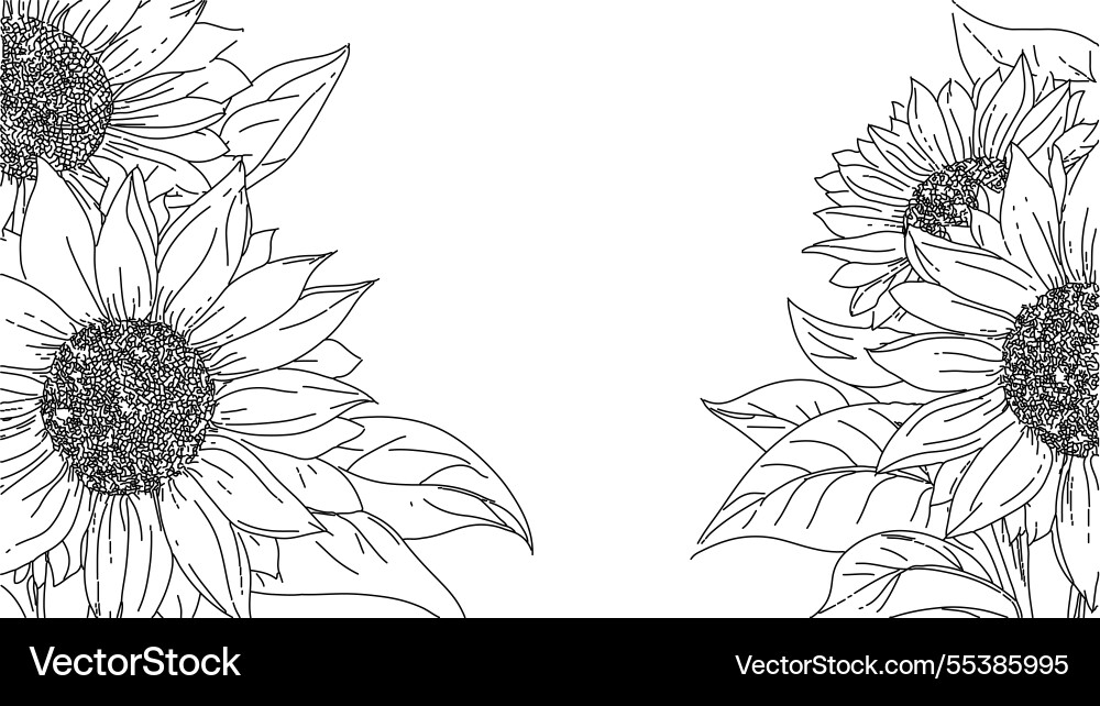 Sunflower line art border design two corners Vector Image