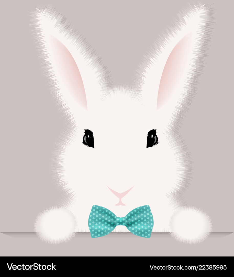 White rabbit Royalty Free Vector Image - VectorStock
