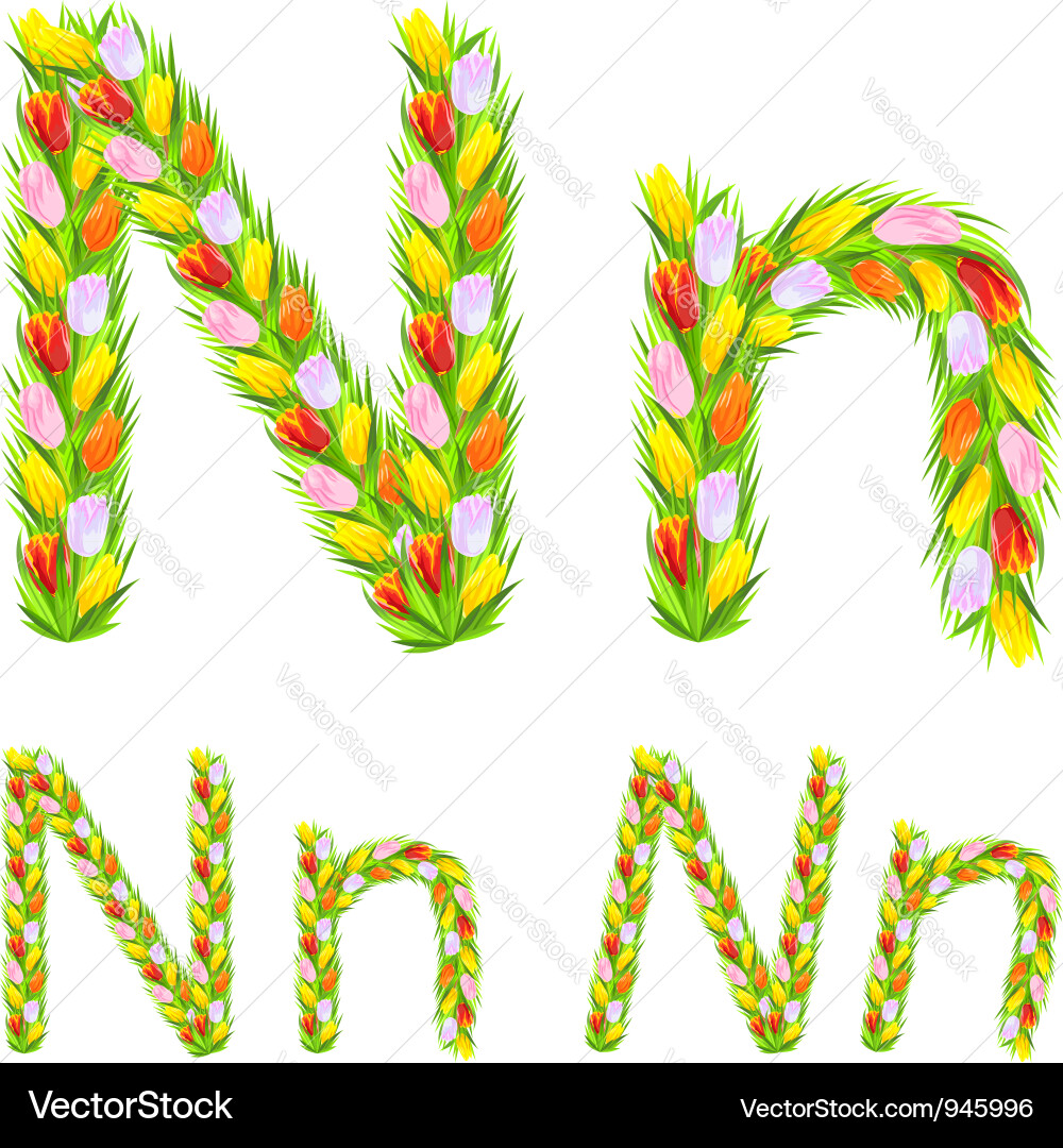 Font type letter n made from flower tulip Vector Image