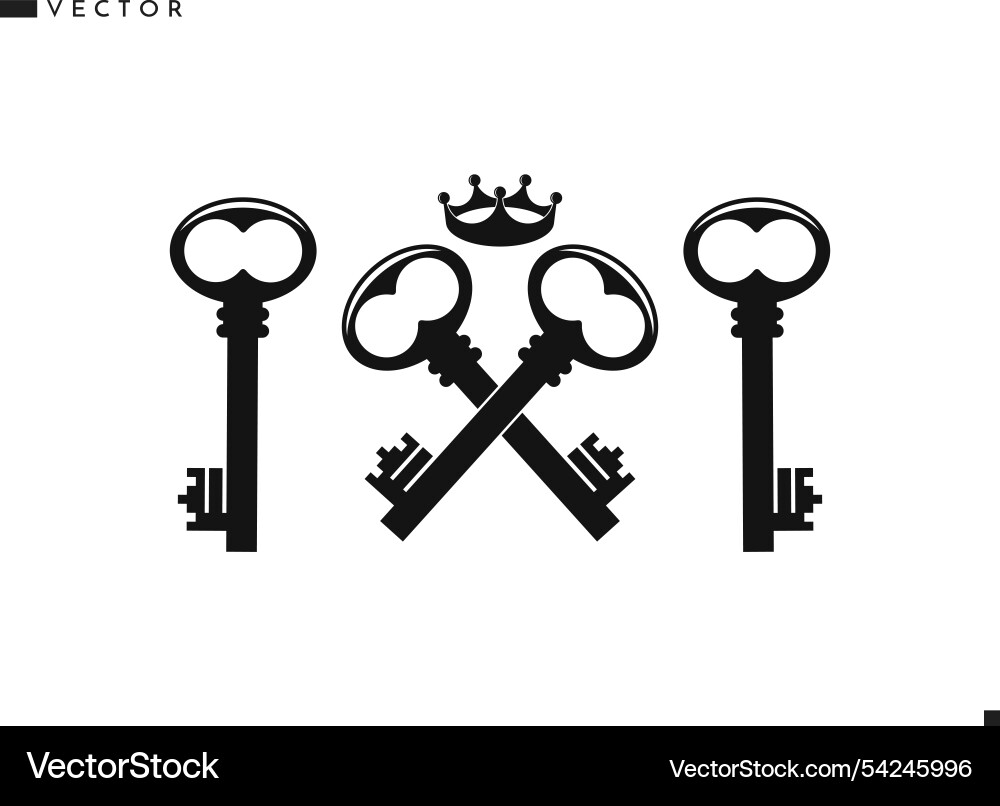 Key silhouette Royalty Free Vector Image - VectorStock